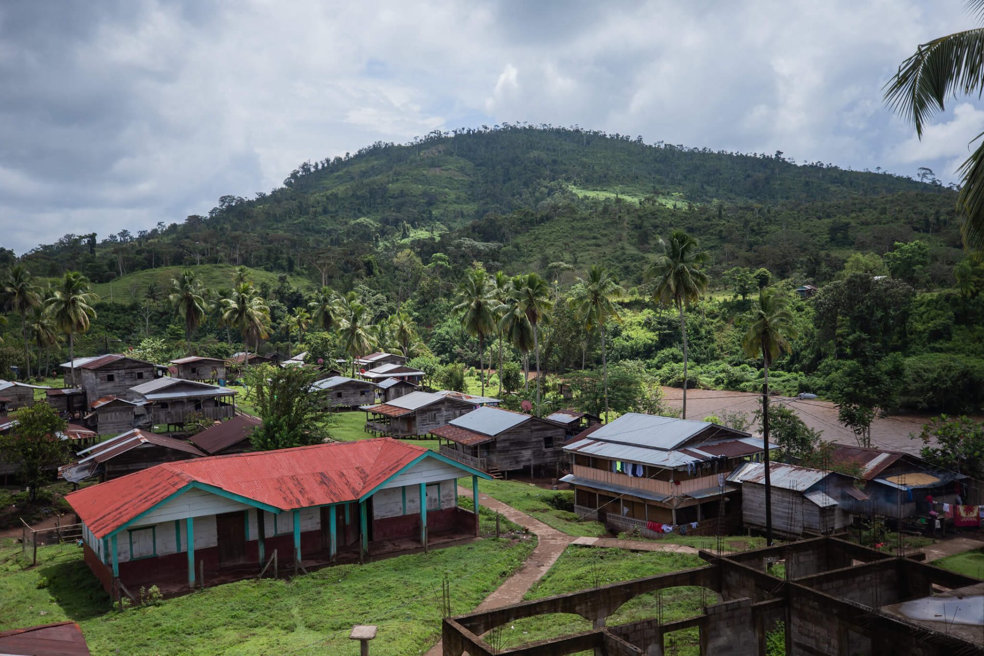 Viaje al infierno de los mayangnas: “¡Aquí un cerdo vale más que uno de ...