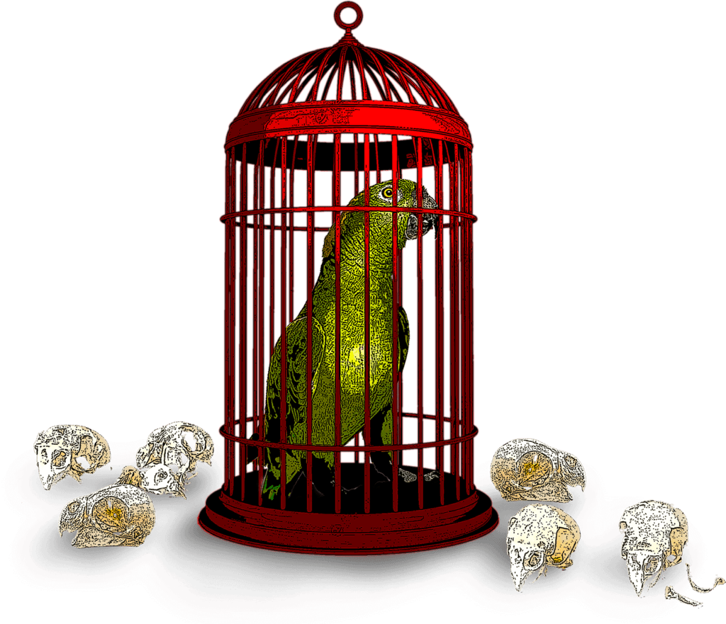 El tráfico mortal de animales silvestres de Nicaragua | Especial